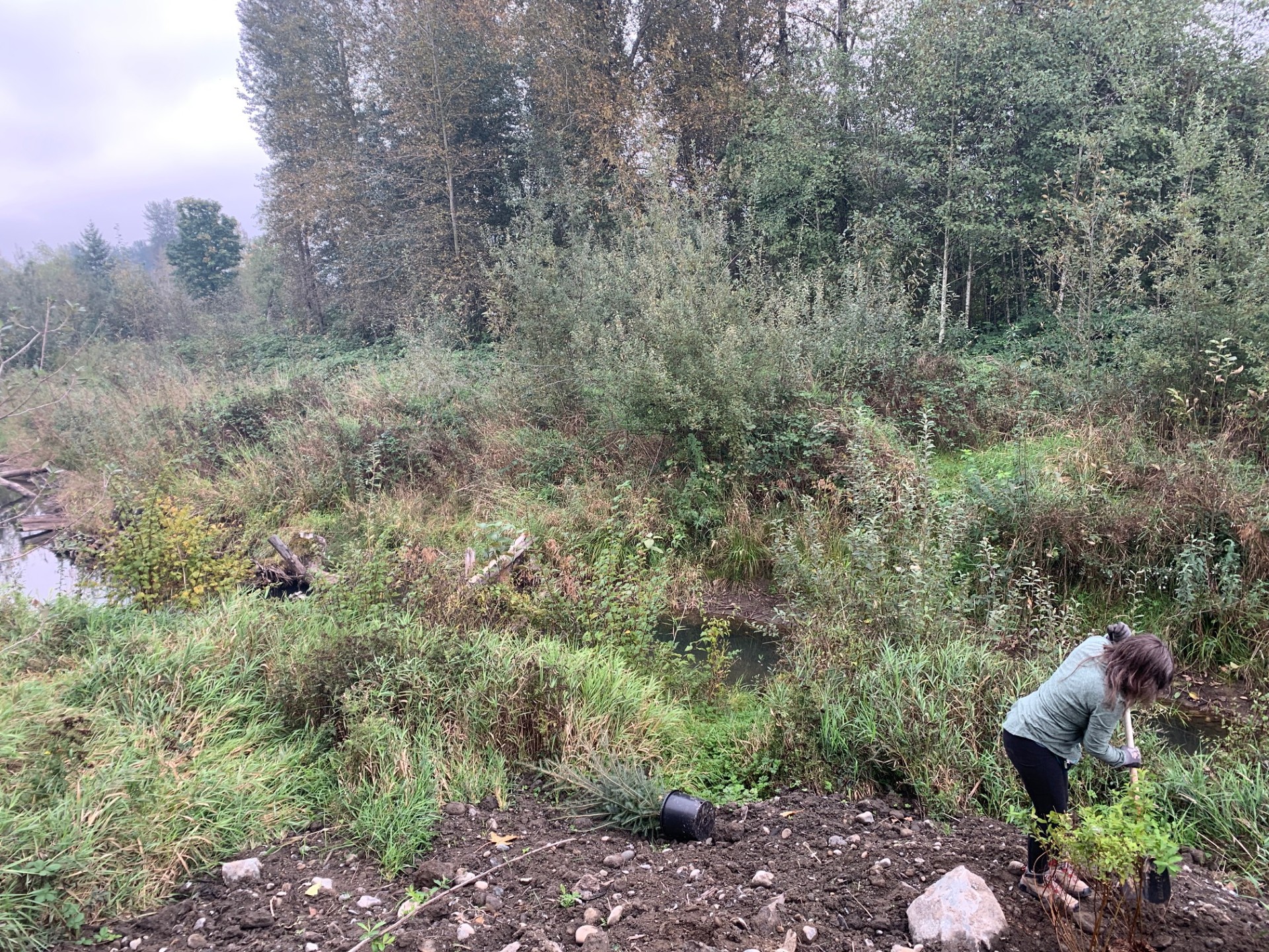 Vedder River Restoration Project - Fraser Basin Council Youth Program